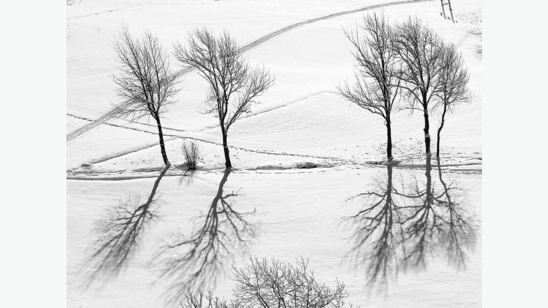 Dessins De Nature En Noir Et Blanc